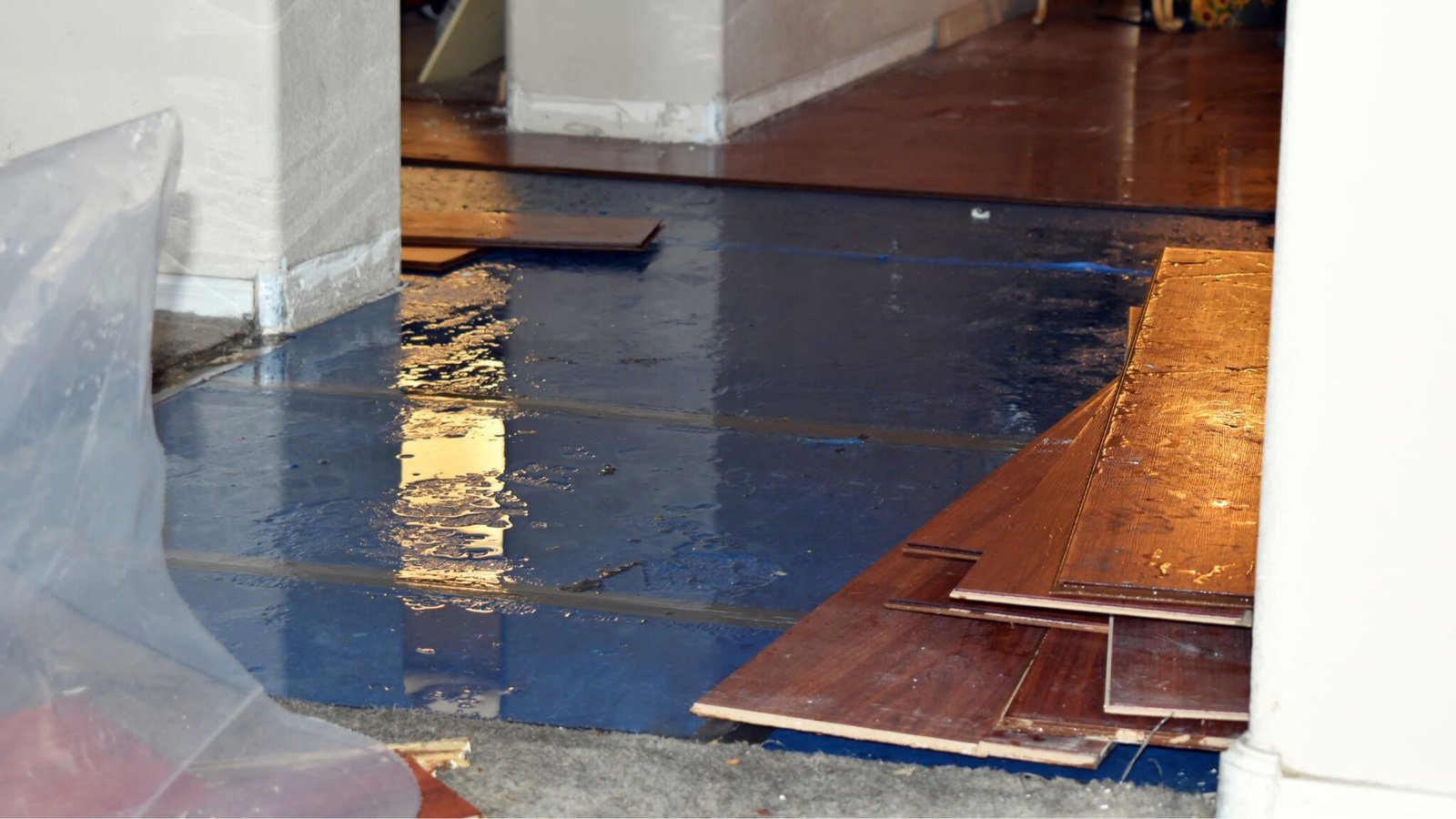 How to Respond Immediately to Water Damage in Your Home in New York ...